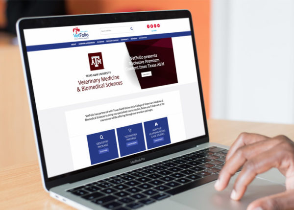 VetFolio Begins Distributing CET Teaching Materials – The Center for ...